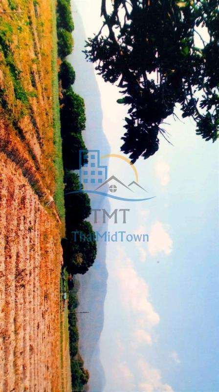 ขาย ที่ดินเปล่า ที่ดินใกล้โรงพยาบาลแม่วางเชียงใหม่ ขายที่ดิน 900 ไร่ ...